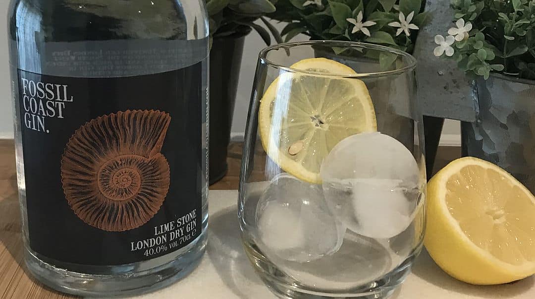 Fossil Coast Gin launches new London Dry Gin - UK Beach Days