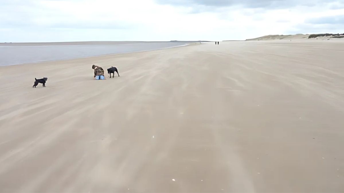 Holkham Beach - Norfolk Coast - UK Beach Days Guide - East England
